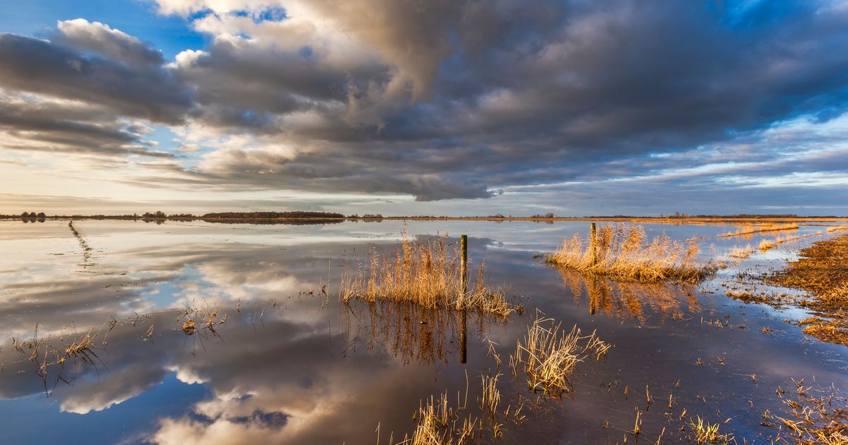 Natuurproject Wieringerhoek ter inzage | PAGW